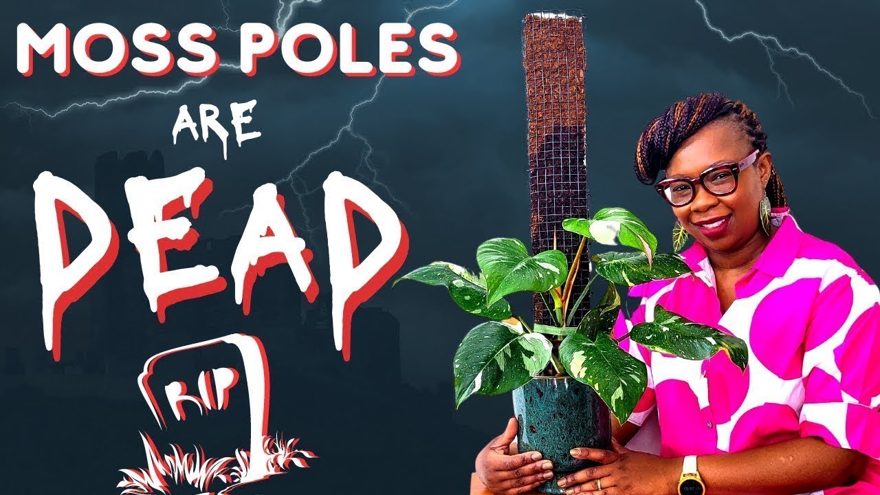 How to Make a Tree Fern Fibre Moss Pole