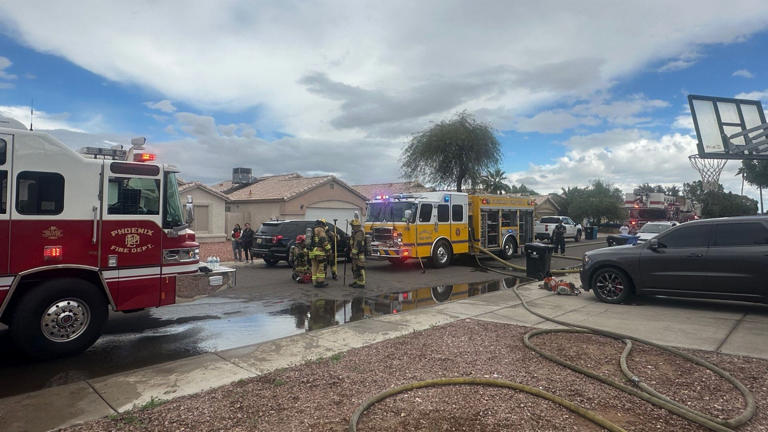 2 dogs die, another rescued from house fire in west Phoenix