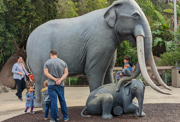 50 States, 50 Kid-Approved Adventures You’ll Never Forget