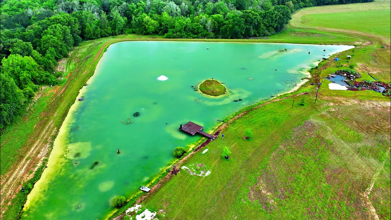 Removing tiger bass out of the 5 acre pond (big problem)