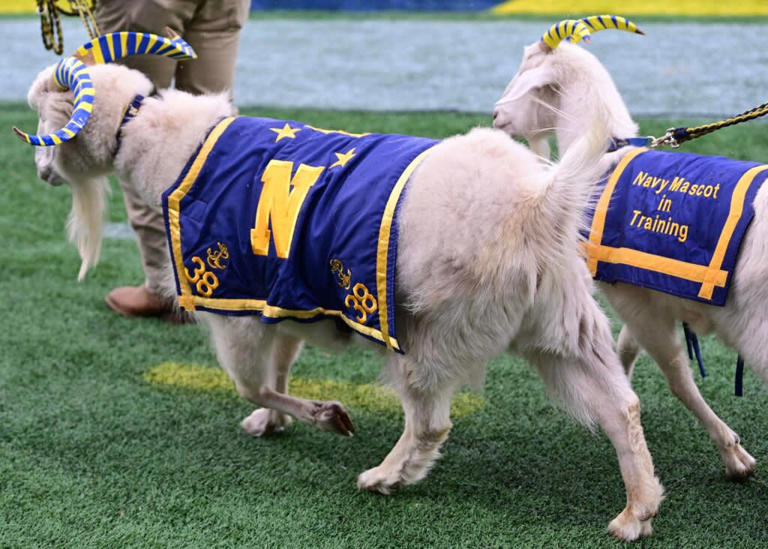 Navy vs USF – Pregame Photos