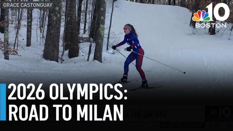 NH toll booth crash leaves 2 people seriously hurt, 2 dogs dead, police say