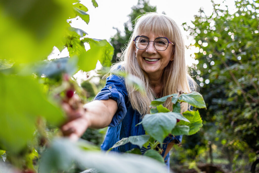 10 reasons plants stop growing even when they’re alive