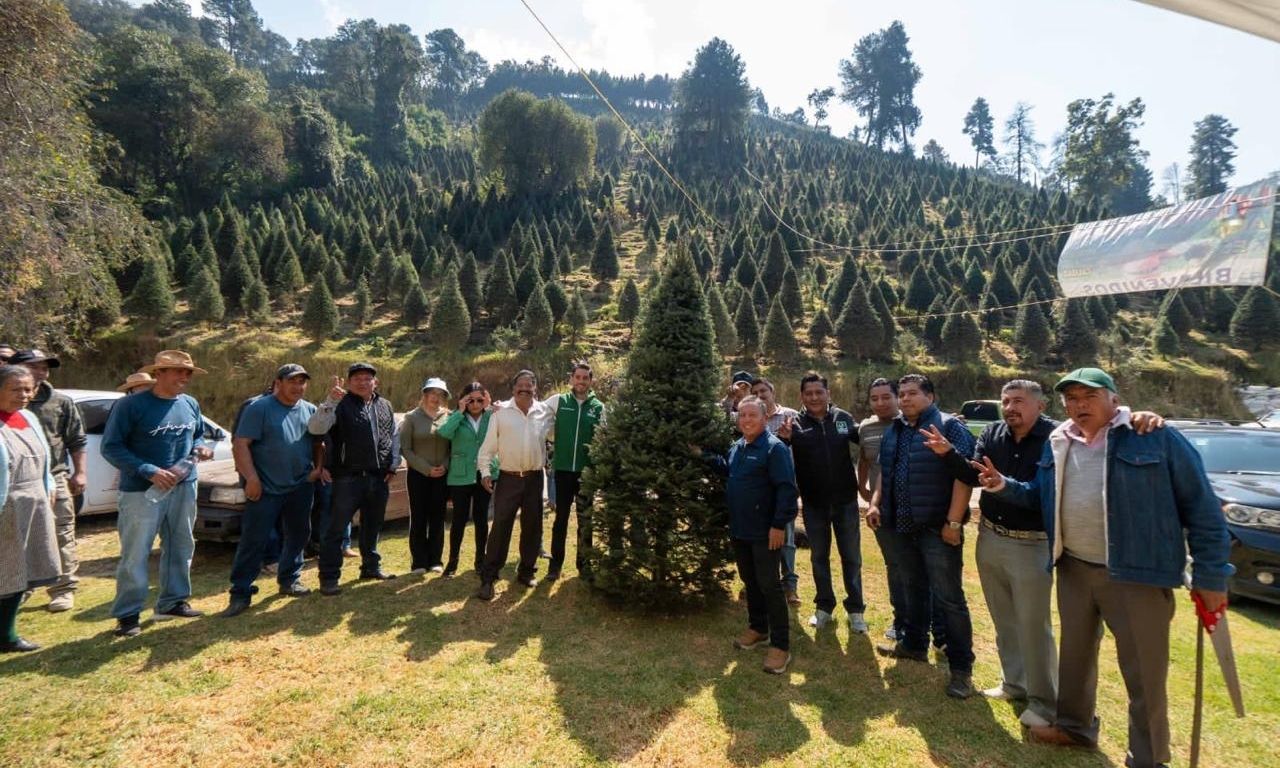 Impulsa Pepe Couttolenc comercio de árboles navideños mexiquenses