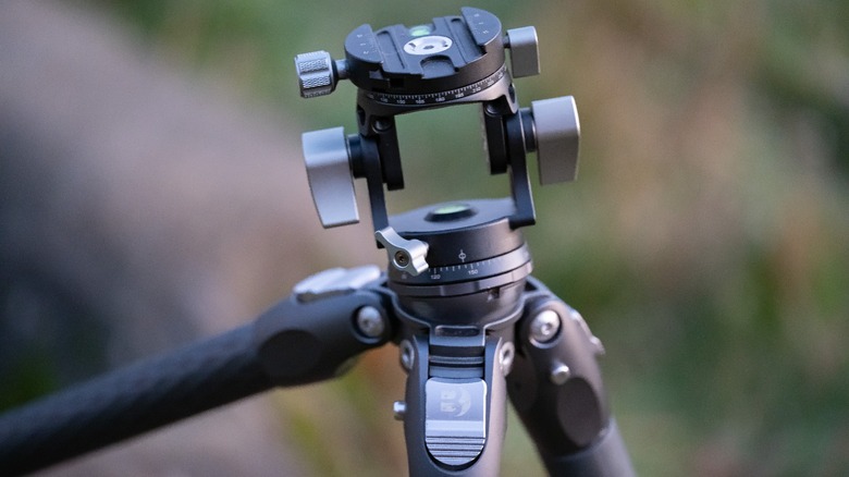 How To Take Great Low-Light Photos With Almost Any Camera (Without A Flash)