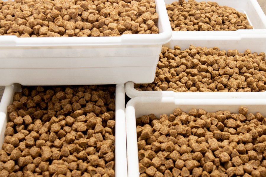 Pet owners could get up to $100K in a $5.5M settlement: How to submit a ...