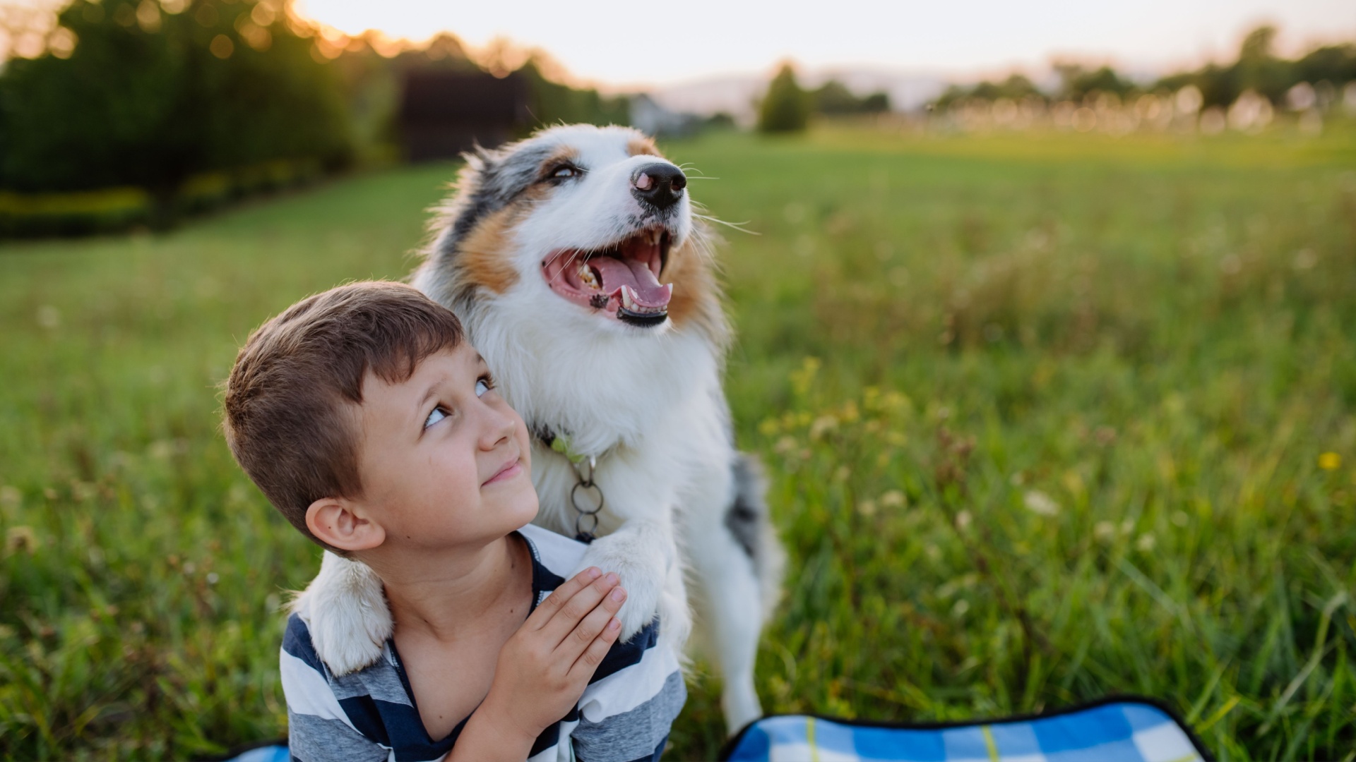 13 Dog Breeds That Are A Great Choice For Families With Kids