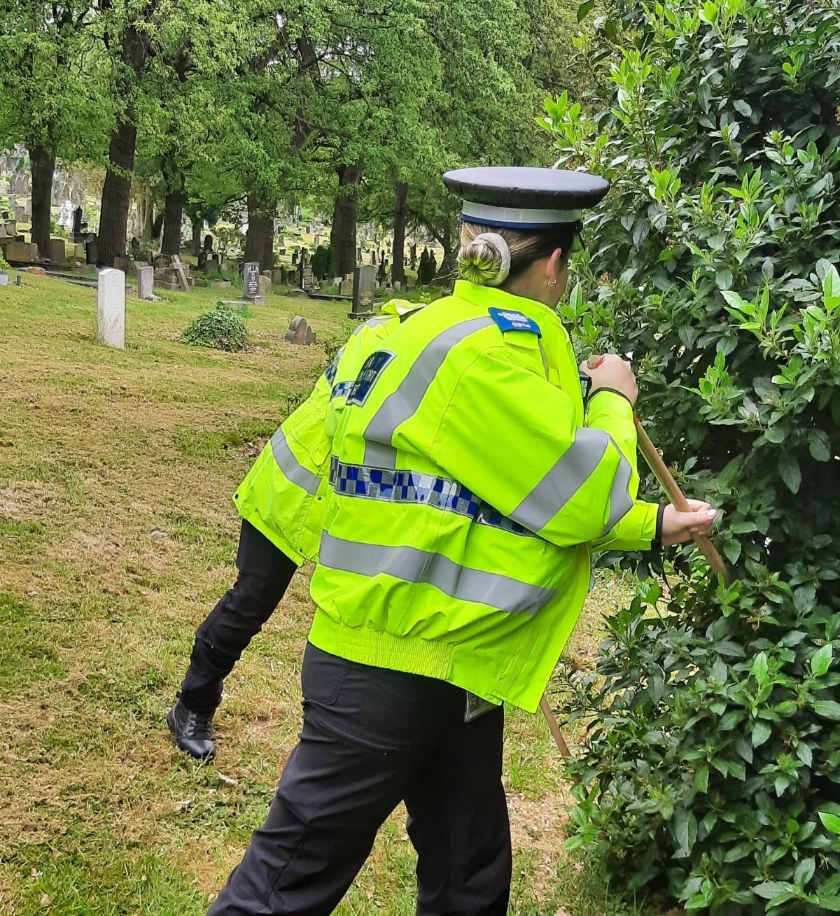 Watch: Police dog and very good boy Marley saves the day when he finds ...