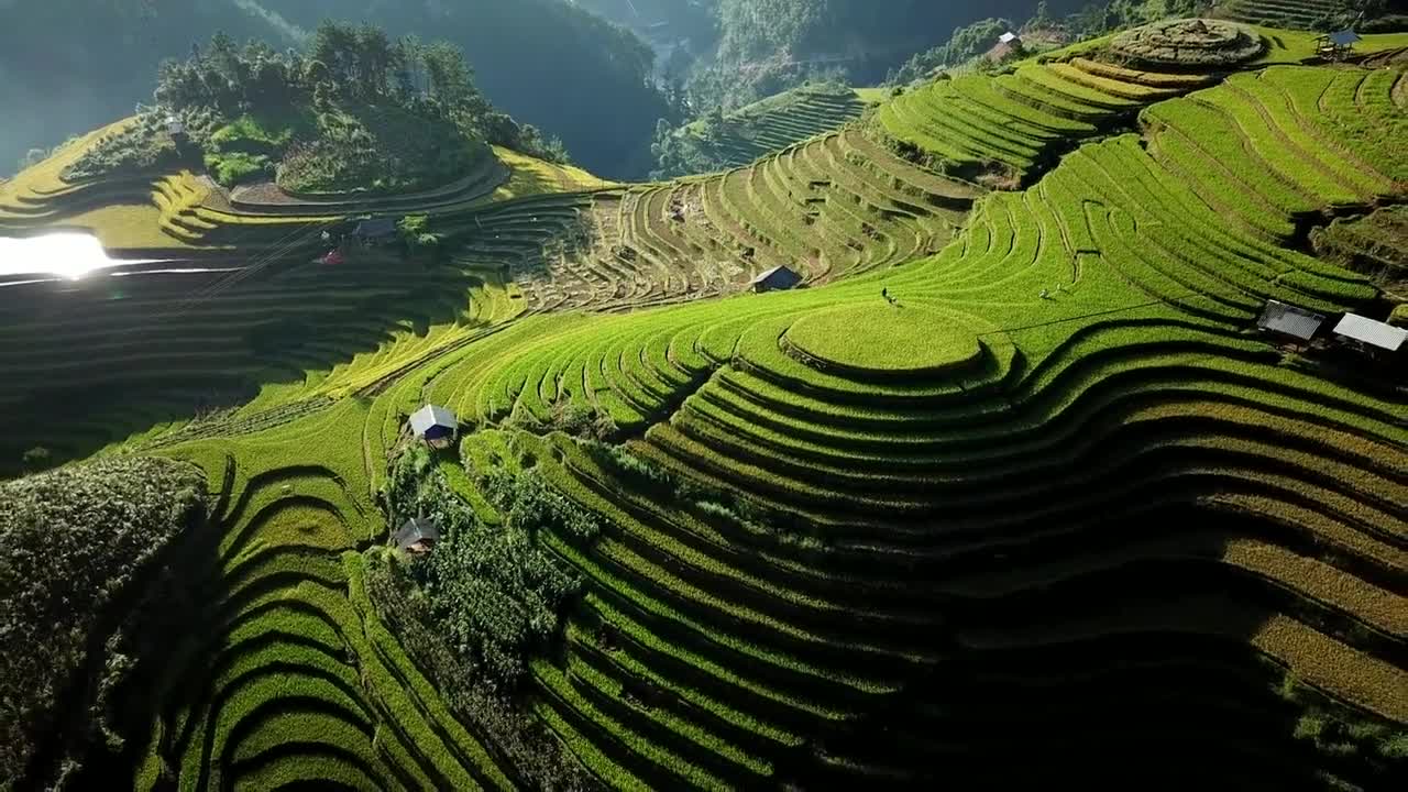 Aerial Journey Through Southeast Asia’s Green Rice Landscapes...