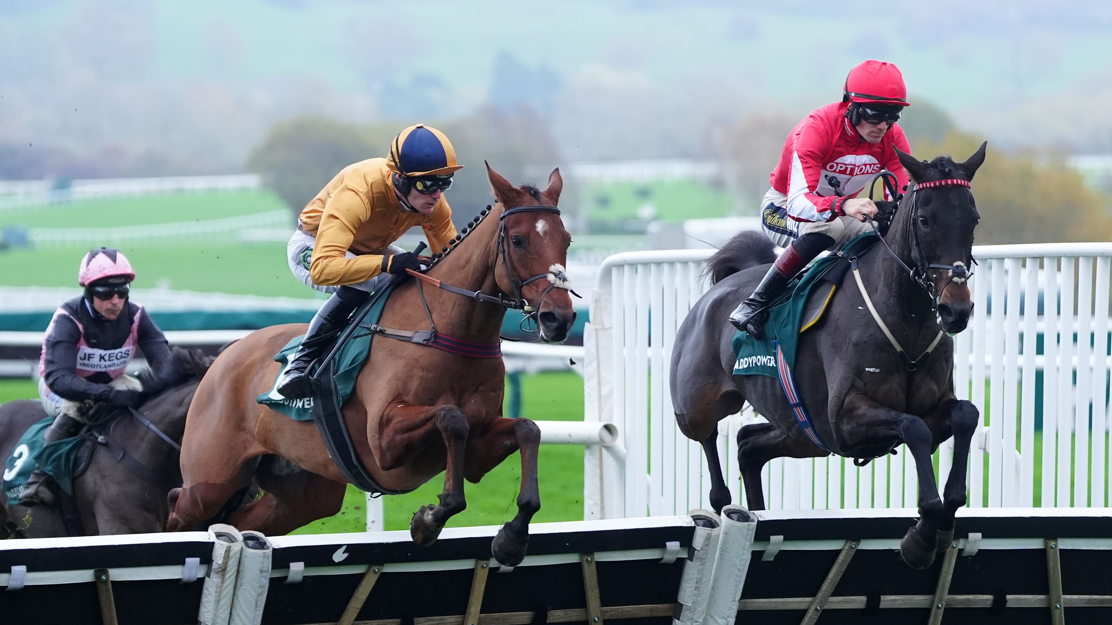 Johnson adapting to chasing winners as syndicate head