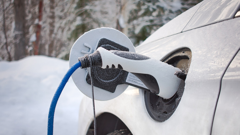The 5 Best EVs For Winter And Snow, According To Experts