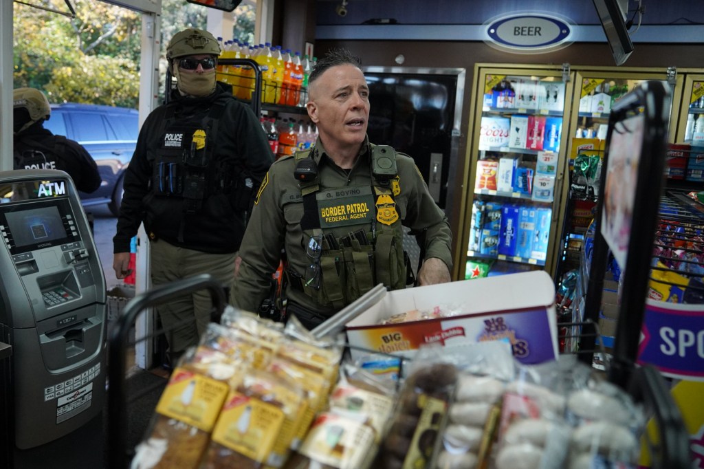 What are Donald Trump’s ‘Charlotte’s Web’ ICE raids in North Carolina?