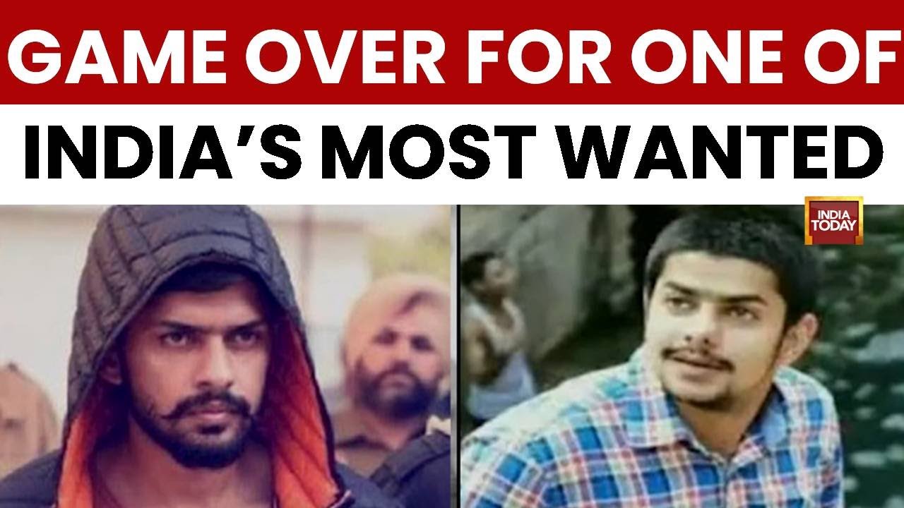 Anmol Bishnoi Deported: Key Accused in Sidhu Moosewala Baba Siddiqui ...