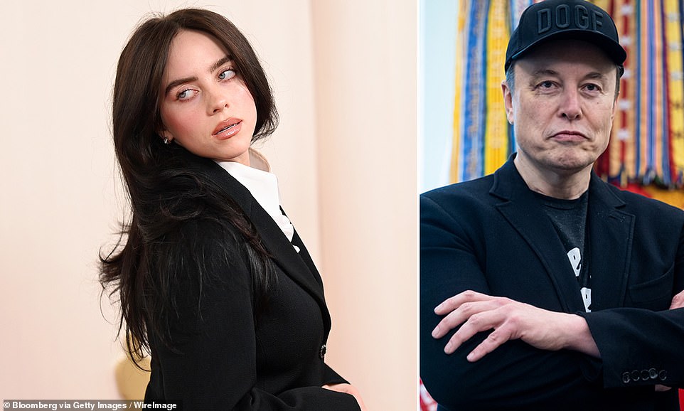 Elon Musk sneers at Billie Eilish's IQ after she called him 'pathetic'