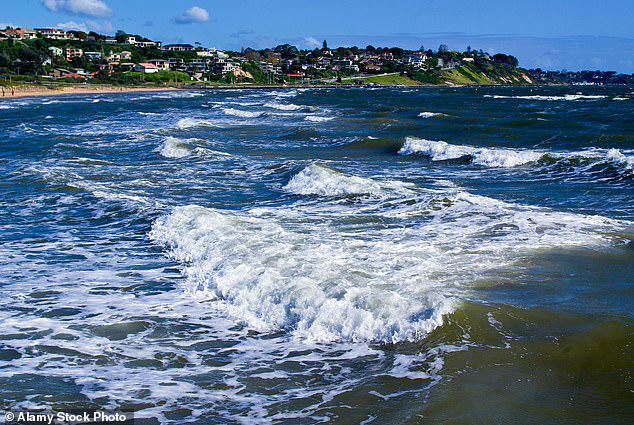 Powerful earthquake slams California sending shockwaves hundreds of miles up the coast