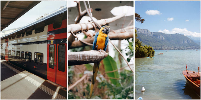 I've been on a quest to find the best compact autofocus film camera ...