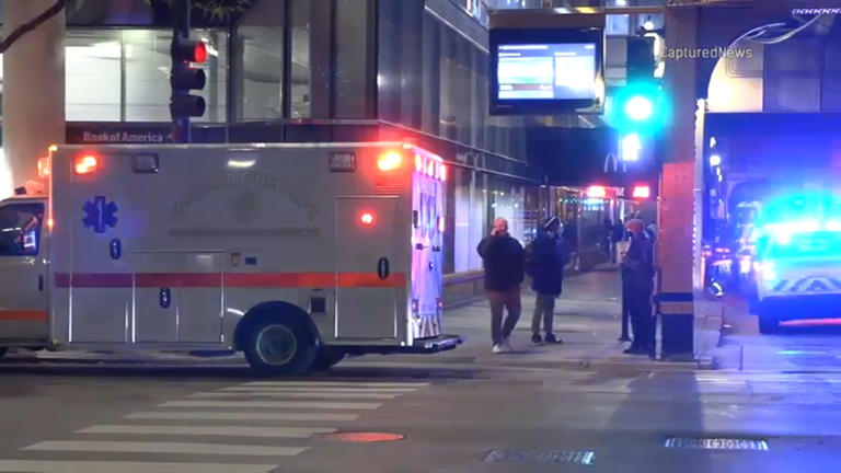 Person of interest in custody after woman set on fire on CTA train: Police