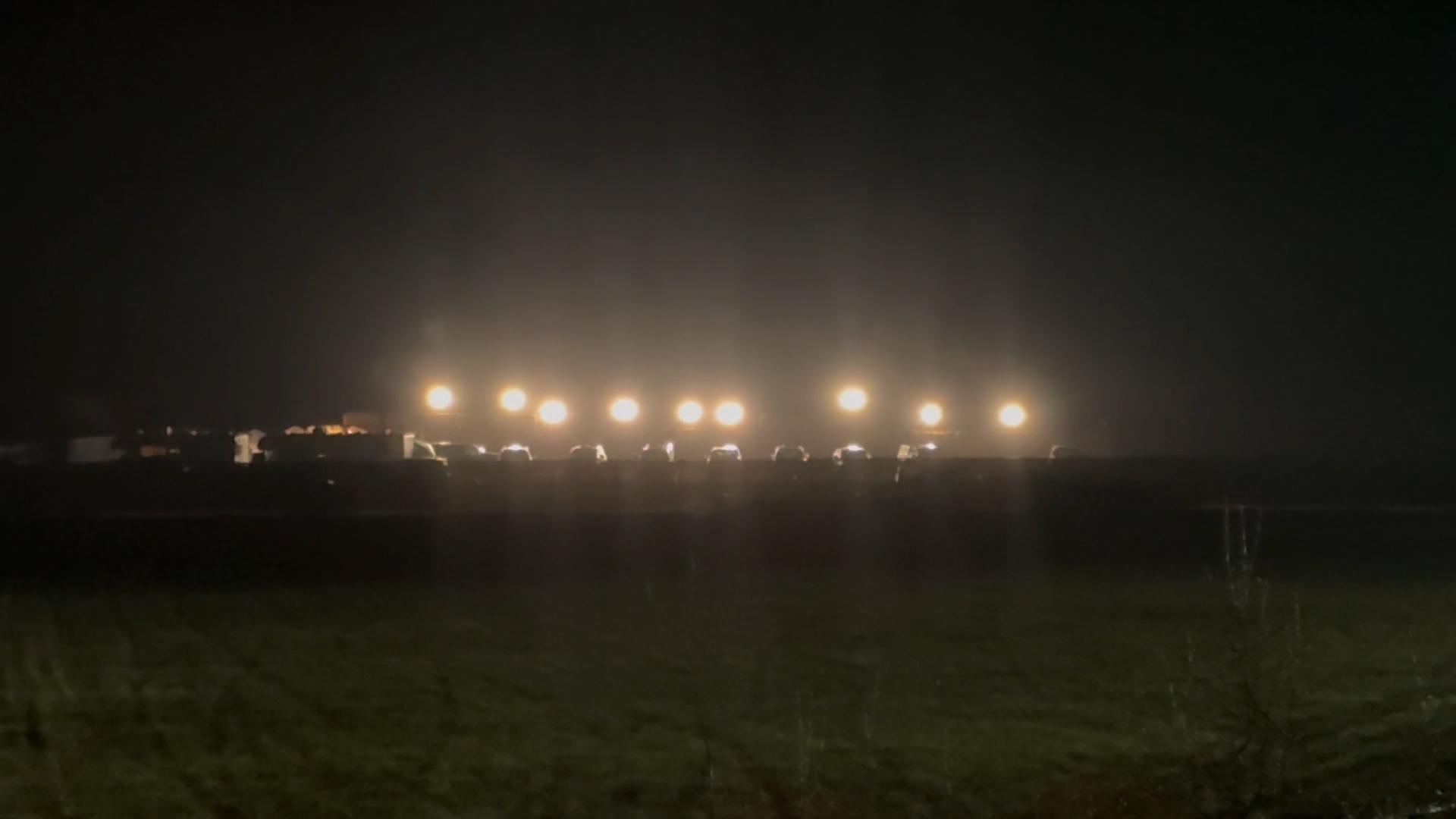 Shooting at B.C. ostrich farm as cull gets underway