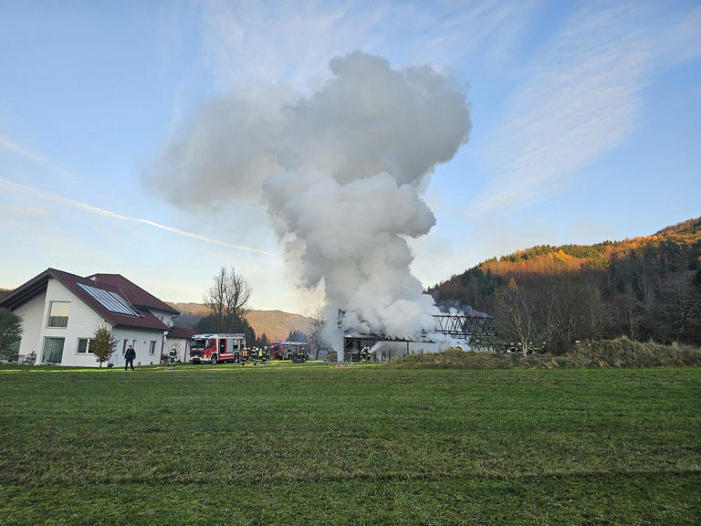 Brand zerstörte bei Neustadtl Scheune und Pferdestall