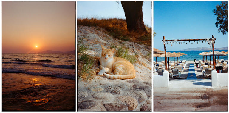 I've been on a quest to find the best compact autofocus film camera ...