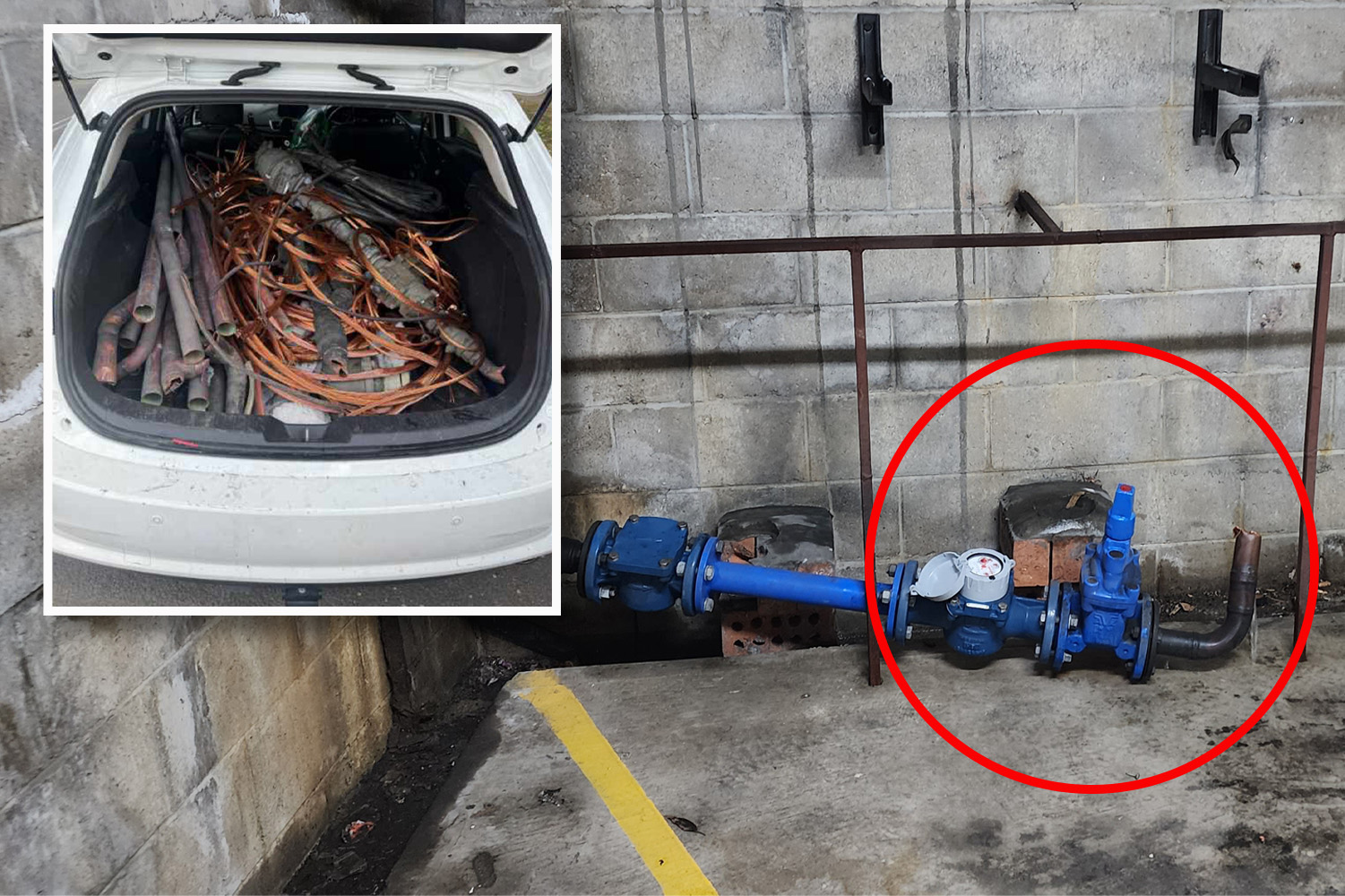 $30,000 discovery exposes sinister trend 'widespread' across Australia