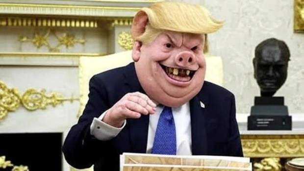 Gavin Newsom Roasts 'Piggy' Trump in Flurry of AI-Generated Memes After ...