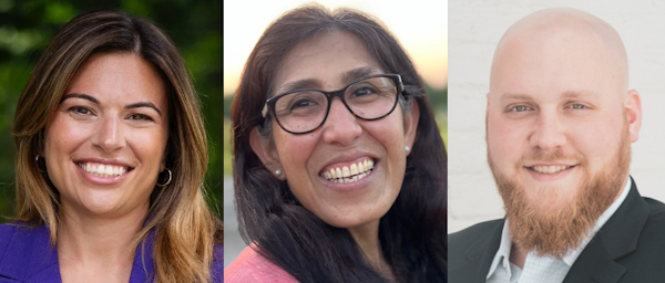 Three Democrats Seek Senate Seat