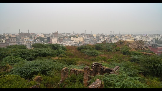 Delhi finally declares 4,080ha of Southern Ridge as reserve forest ...