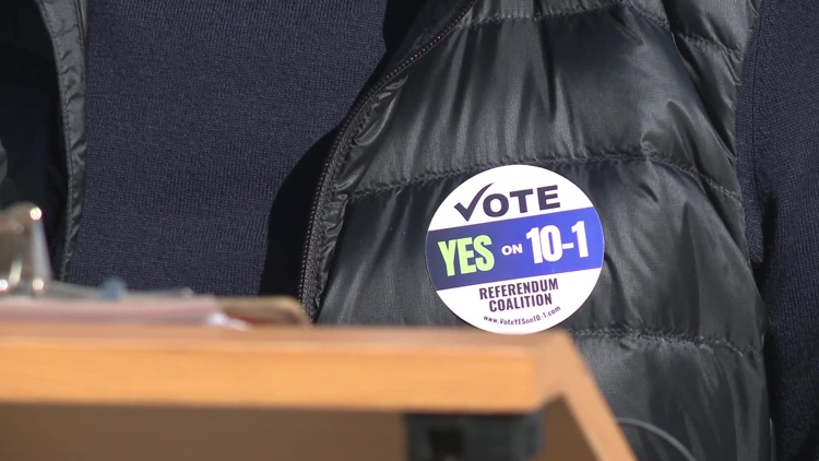 Virginia Beach City Council supports 10-1 system in Tuesday vote