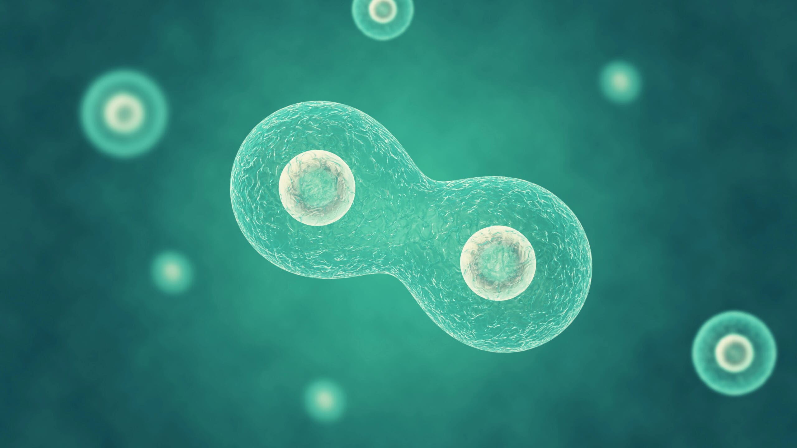 Naše DNA odhalila pravdu: Lidské buňky by bez obřích virů vůbec nevznikly