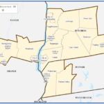 Three Democrats Seek Senate Seat