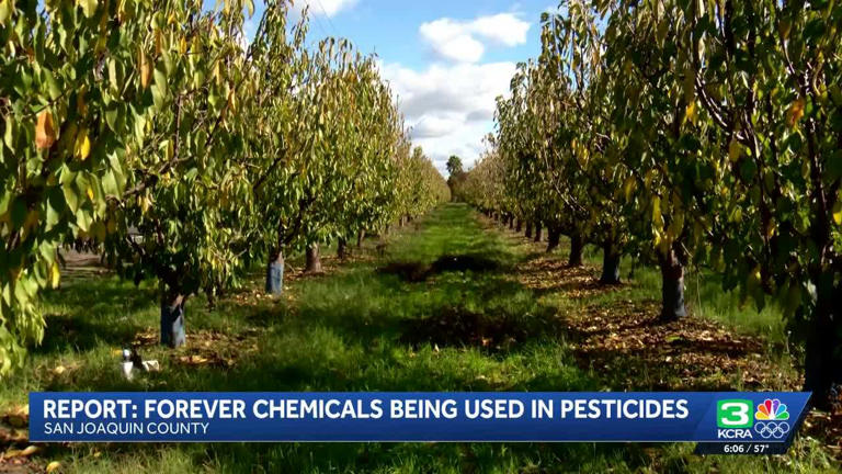 Toxic PFAS chemicals found in San Joaquin County pesticides
