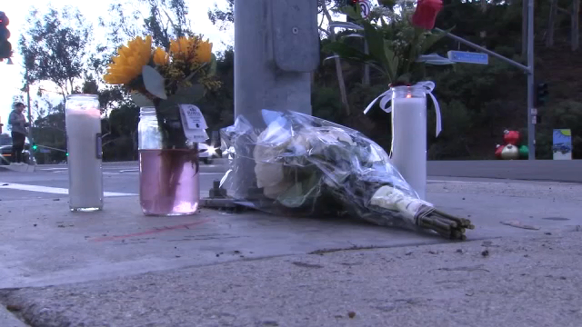 13-year-old boy killed in Dana Point crash, hit-and-run driver in ...