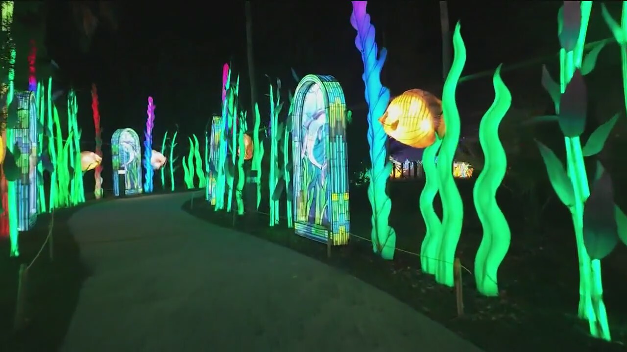 Asian Lantern Festival Lights Up Central Florida Zoo