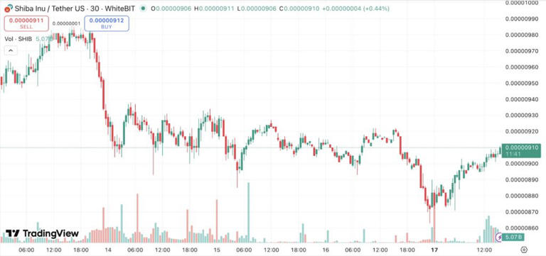 DOGE, SHIB prices could drop a further 80%, this altcoin is tipped to ...