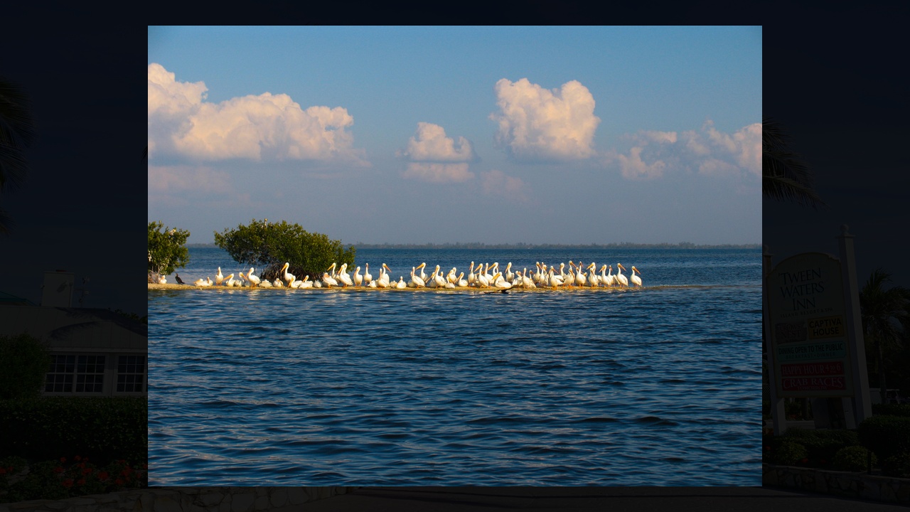 This fishing trip pissed off Teddy Roosevelt so much, he saved 17 islands