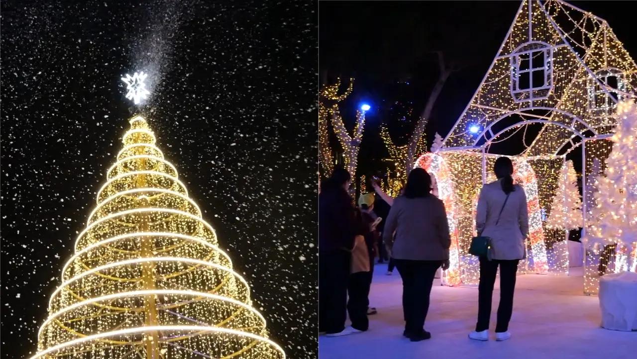 Over 1 Million Lights Dazzle at Tijuana’s El Vergel Christmas Village