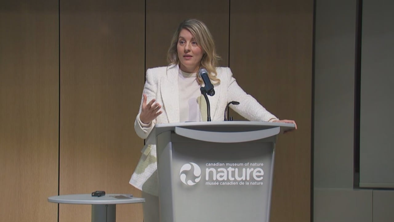 Joly announces $528M investment in partnership with EU Space Program