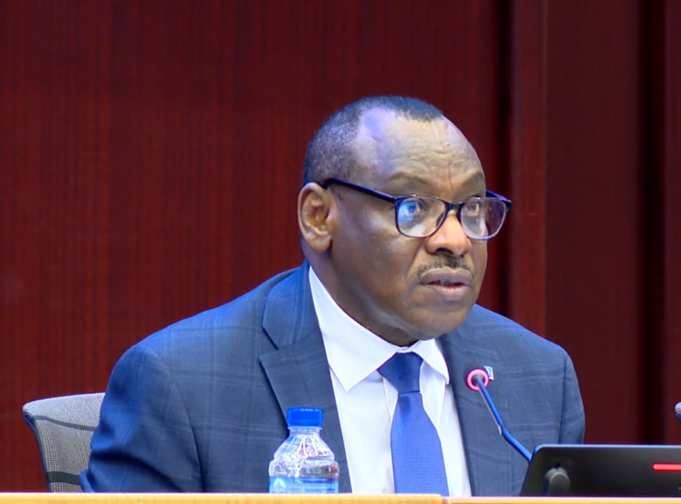 African States Building Regional Systems that Embody Shared Vision of ...