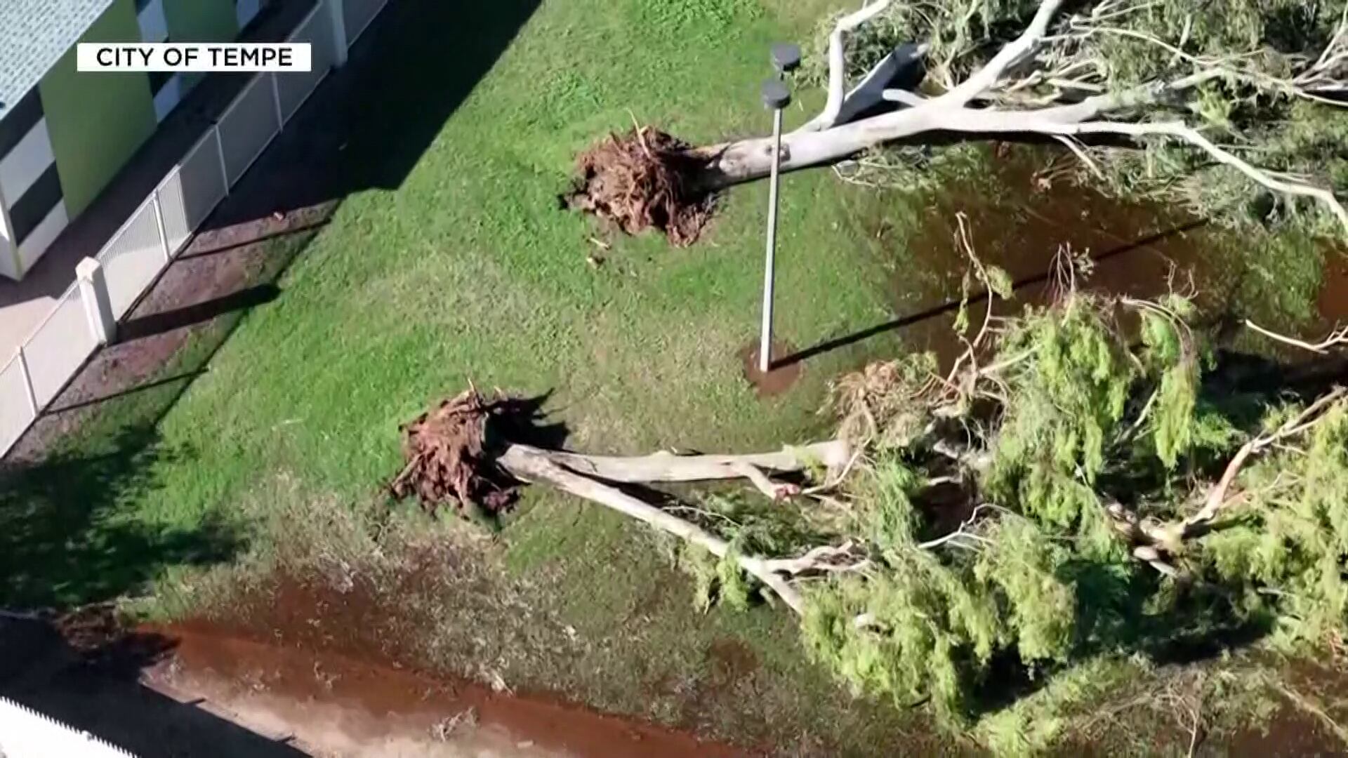 Recent stormy weather delays Tempe microburst clean-up
