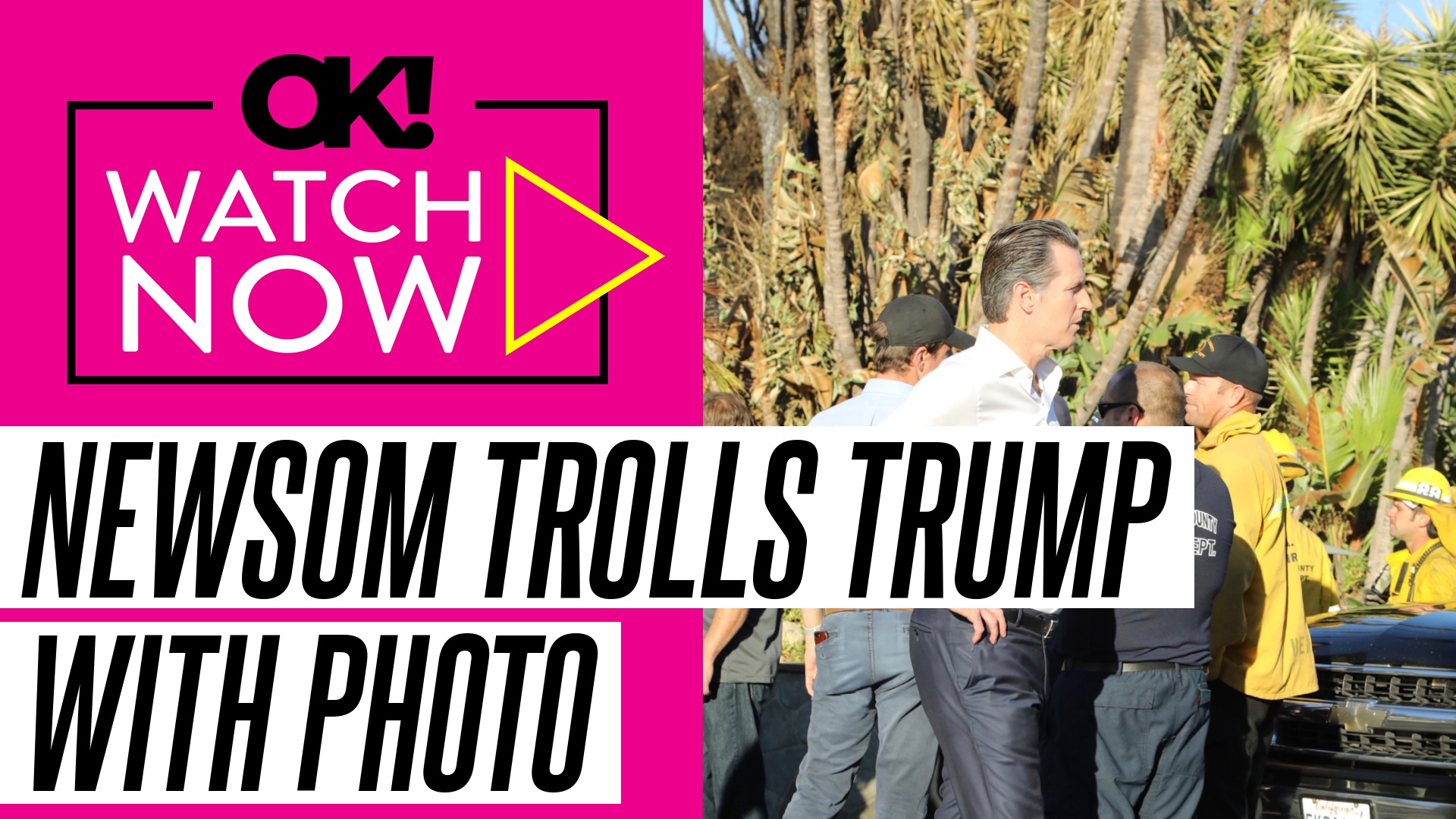 Gavin Newsom Trolls Donald Trump Over 'Quiet, Piggy' Comment With ...