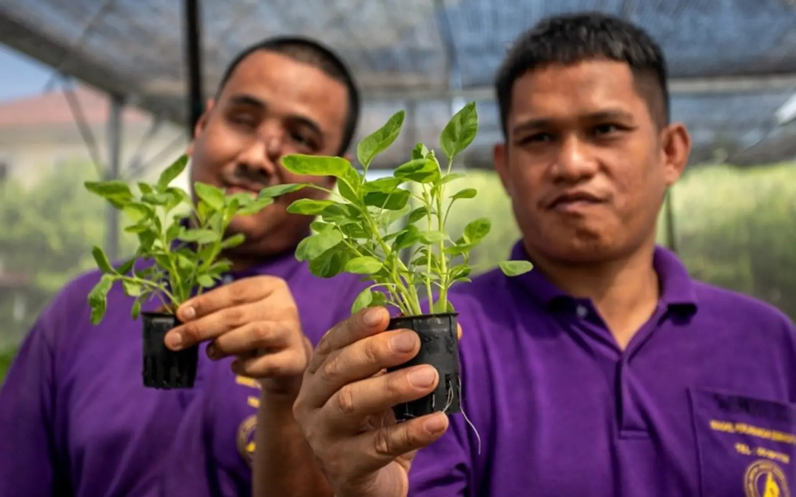 Urban farming initiative helps PWDs cultivate independence