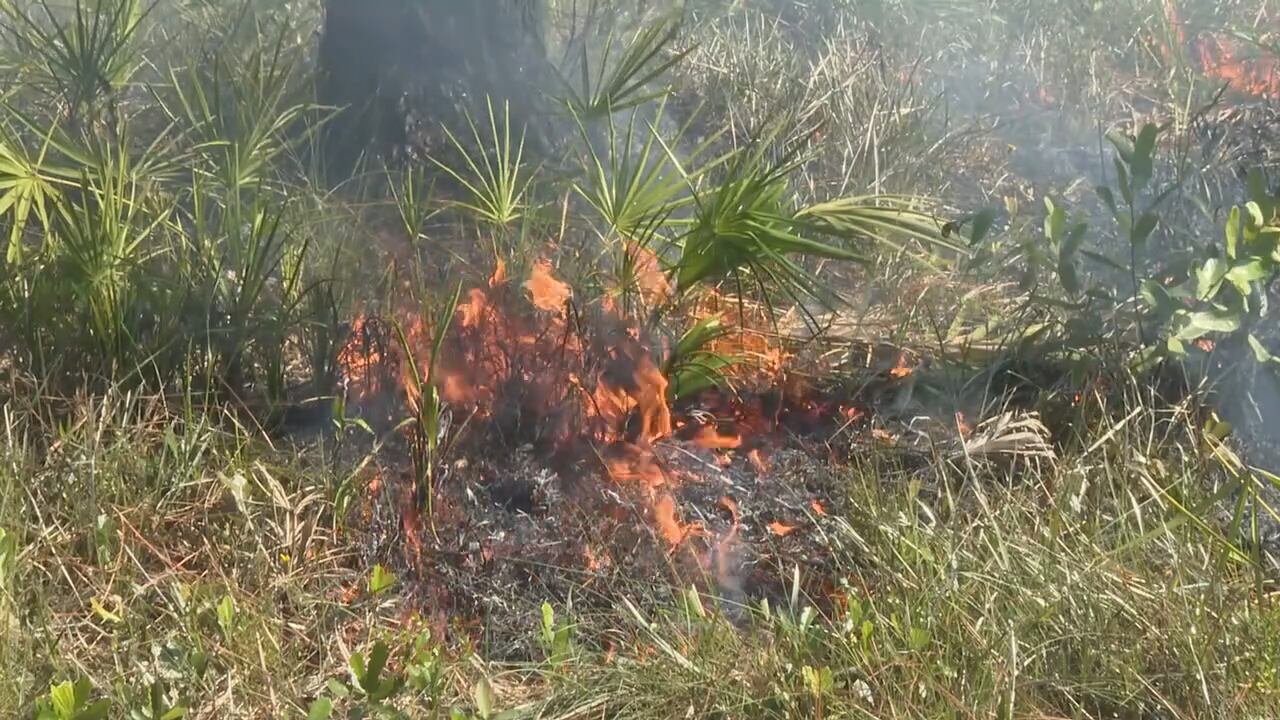 Six North Central Florida counties under burn bans due to dry conditions