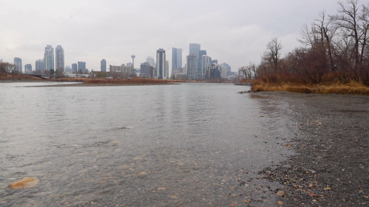 Calgary officials call for $342M over next 4 years to fix city's leaky ...