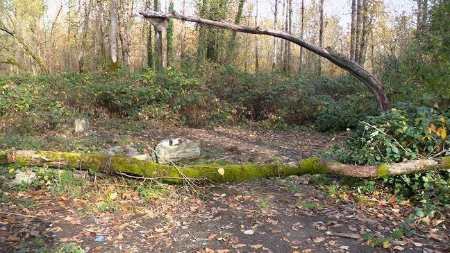 State removes over 100 tons during clearing of longstanding camps at ...