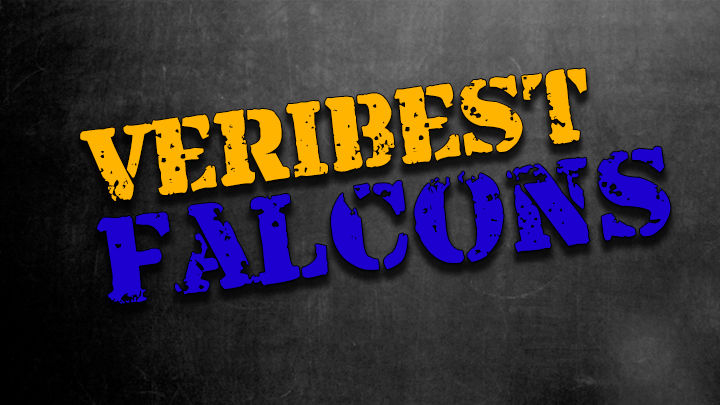 Veribest Lady Falcons reflect on another great volleyball season ...