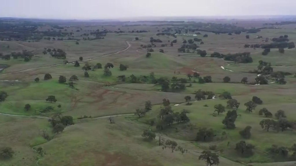 Sacramento County solar proposal sparks clash over trees, tribal lands ...