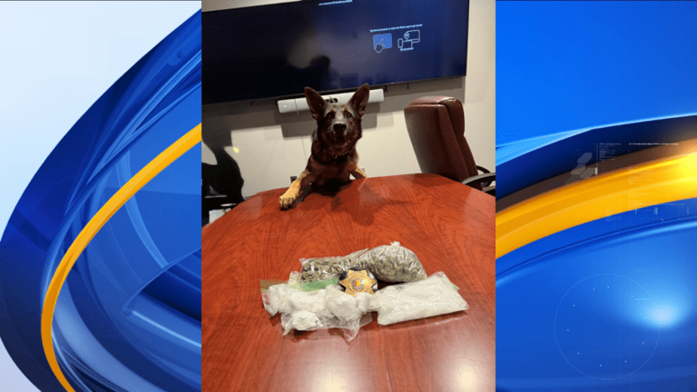 Limestone Co. Sheriff arrests TN man on drug charges after operation in ...