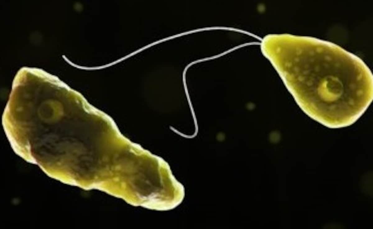 Brain Fever: Karnataka Government Releases Guidelines For Prevention Of ...