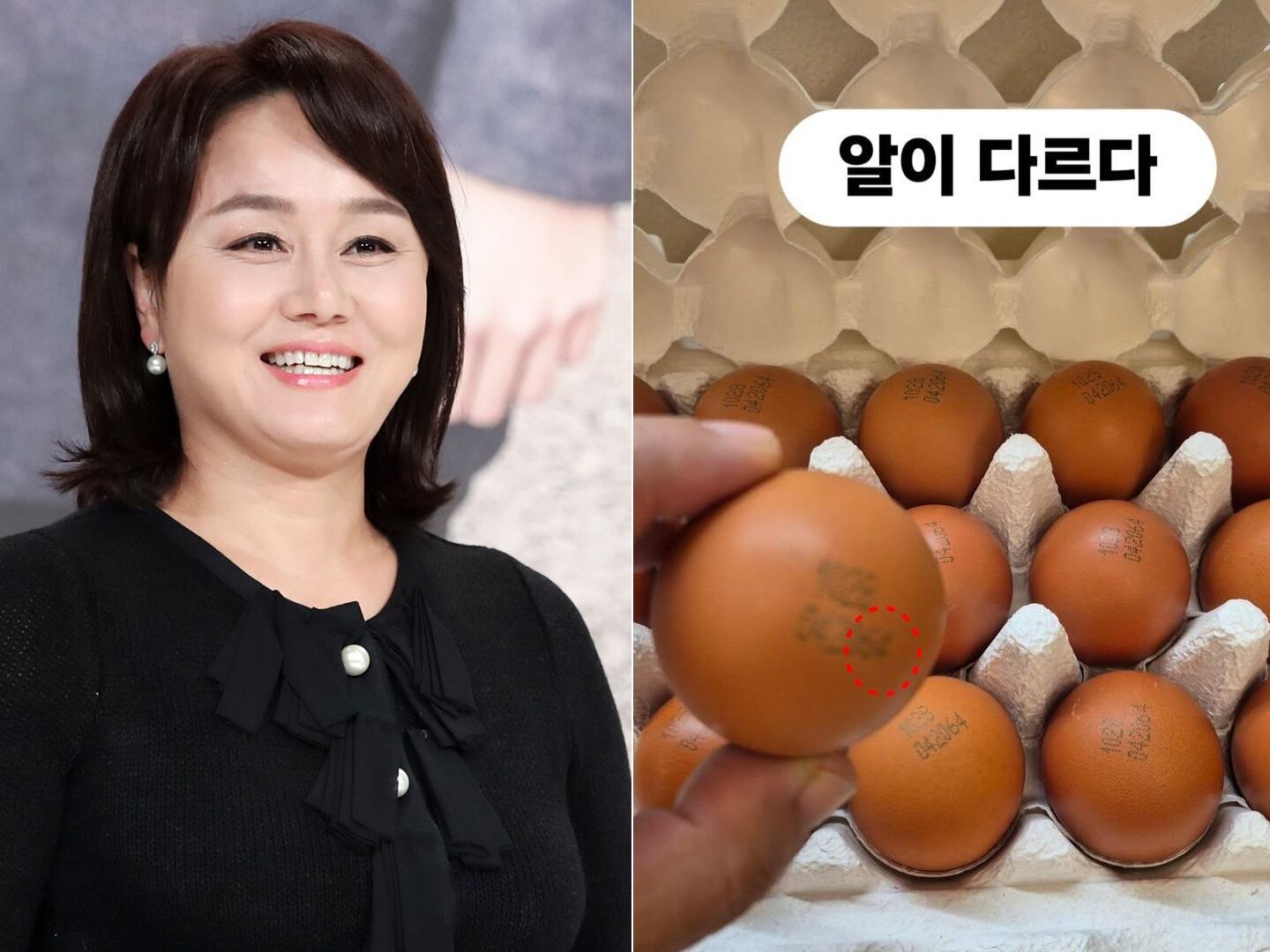 Lee Kyung-sil Defends Egg Prices, Cites Quality